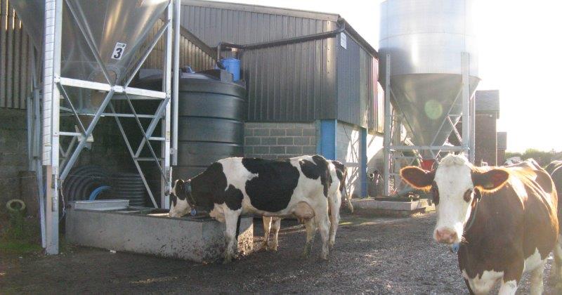 Agricultural Farm Water Tanks: For Rainwater And Drinking Water
