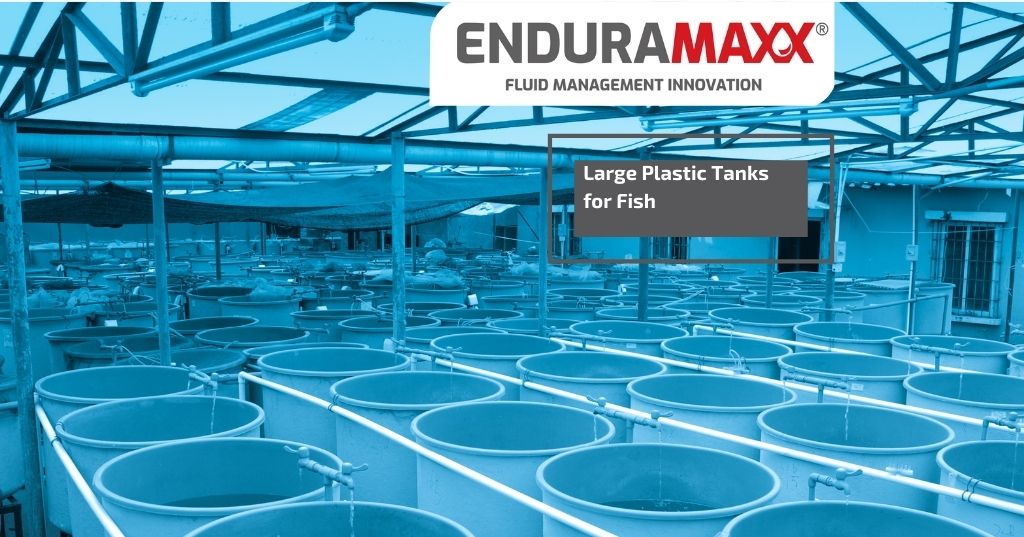 Large Plastic Tanks for Fish, Conical and Flat Base Tanks