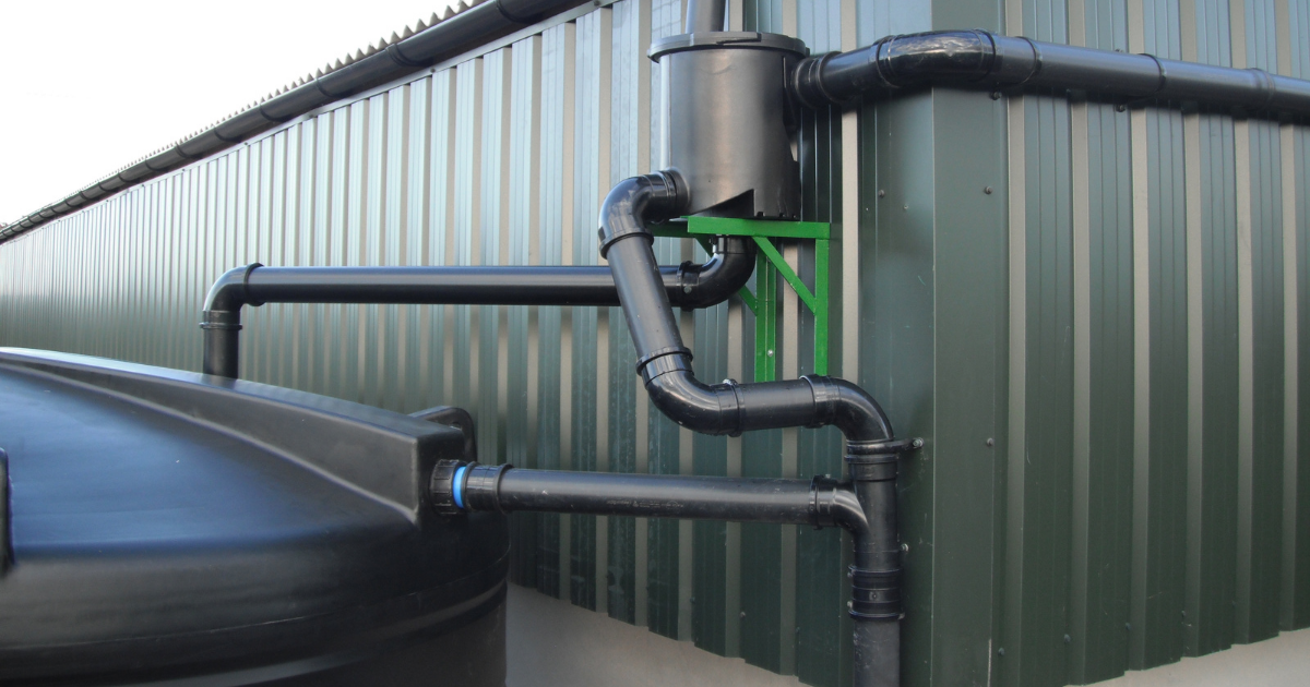 Rainwater is better for your garden than tap water | Enduramaxx ...
