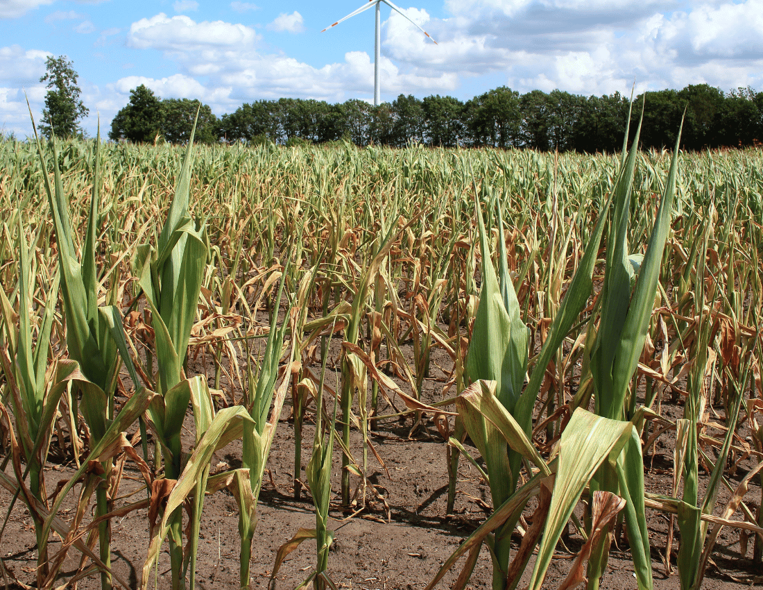 How We Could Use Underground Water Harvesting Tanks To Tackle Droughts